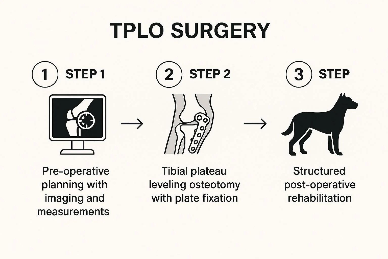 TPLO Surgery For Dogs: Your Complete Recovery Success Guide | Fundraising For Pet Surgery ...