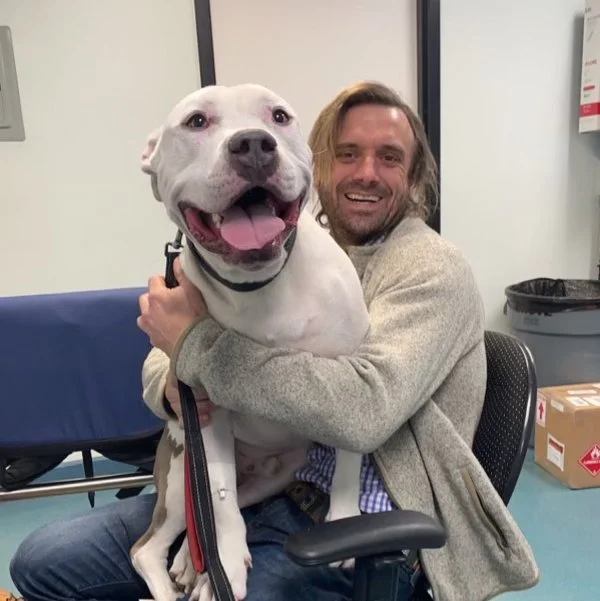 Simon Veterinary Surgical | Veterinary Orthopedic | Los Angeles