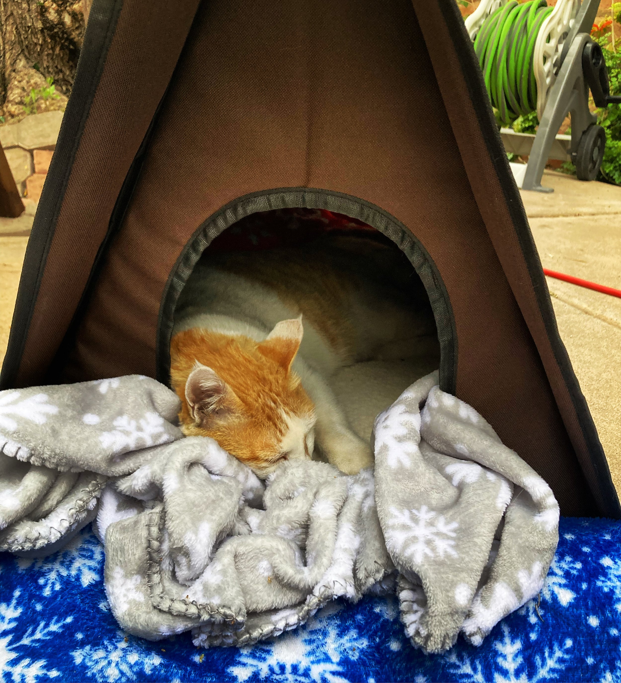 Scott Helmer | Official Website