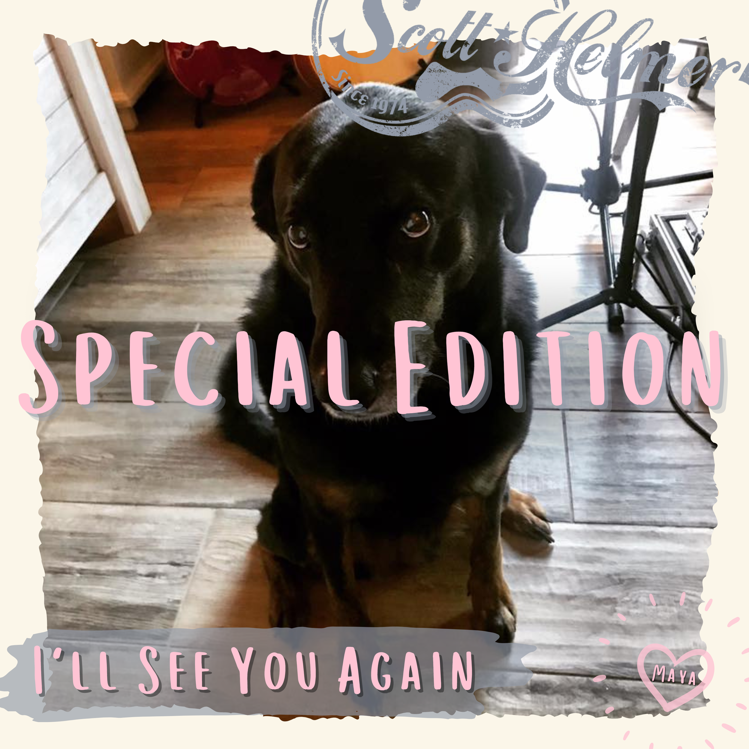 Scott Helmer - I'll See You Again Special Edition (EP) — Scott Helmer