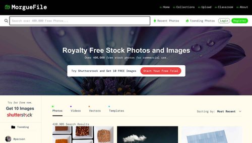 10 Best Websites For Free References Photos For Artists