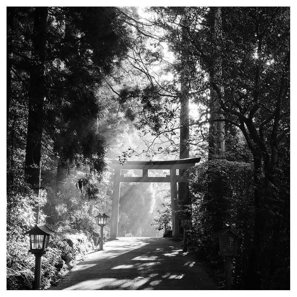 89+ Spellbinding Plot Ideas to Ignite Your Creativity