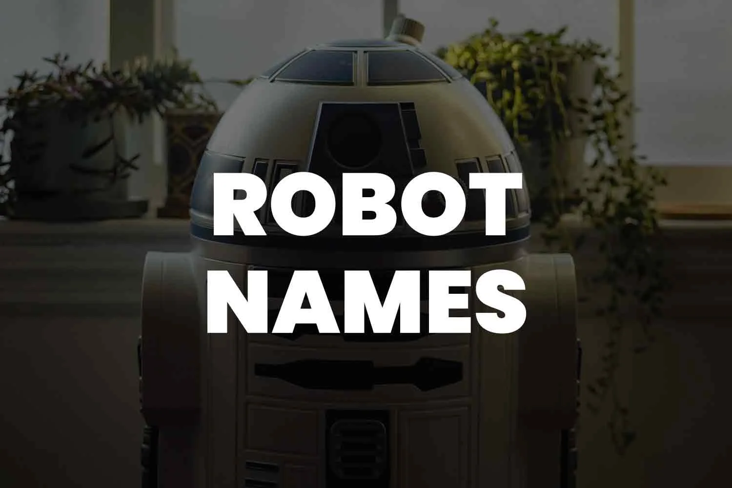 199+ Robot Names for Aspiring Sci-Fi Writers