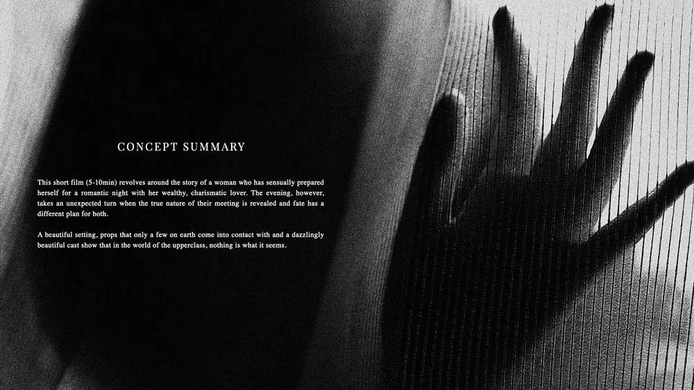 From Concept to Screen: A Short Film Treatment Example That Got Funded