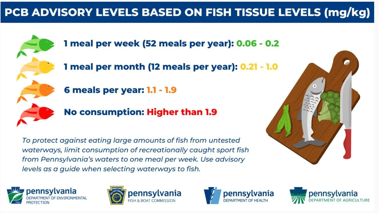 PCBs in school — follow up — Tristan Roberts