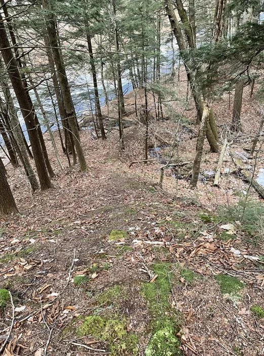 How to walk like a deer — Tristan Roberts