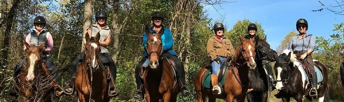 ADULT LESSONS — WOODLAND HORSE CENTER