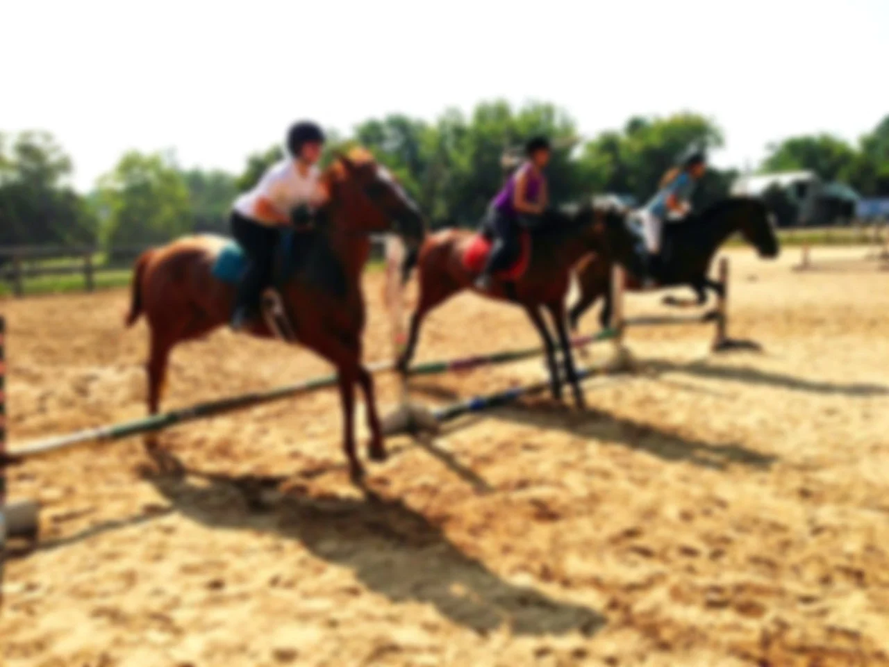LESSONS — WOODLAND HORSE CENTER