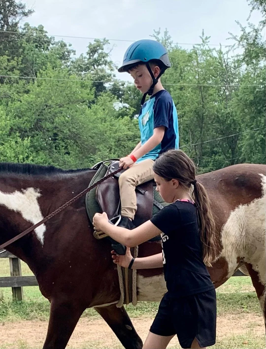 MINI-DAY CAMPS — WOODLAND HORSE CENTER