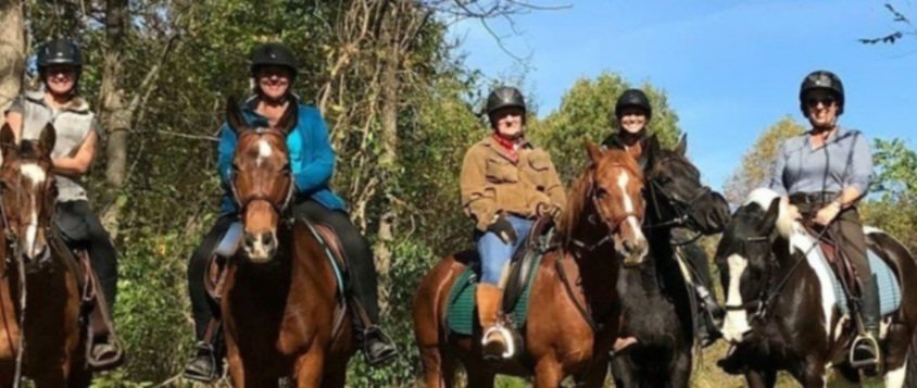 ADULT LESSONS — WOODLAND HORSE CENTER