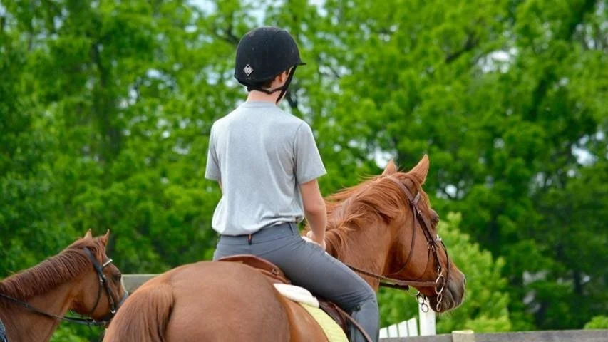 Riding Lesson Expectations — WOODLAND HORSE CENTER