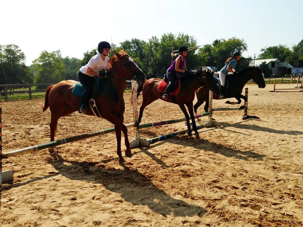 LESSONS — WOODLAND HORSE CENTER