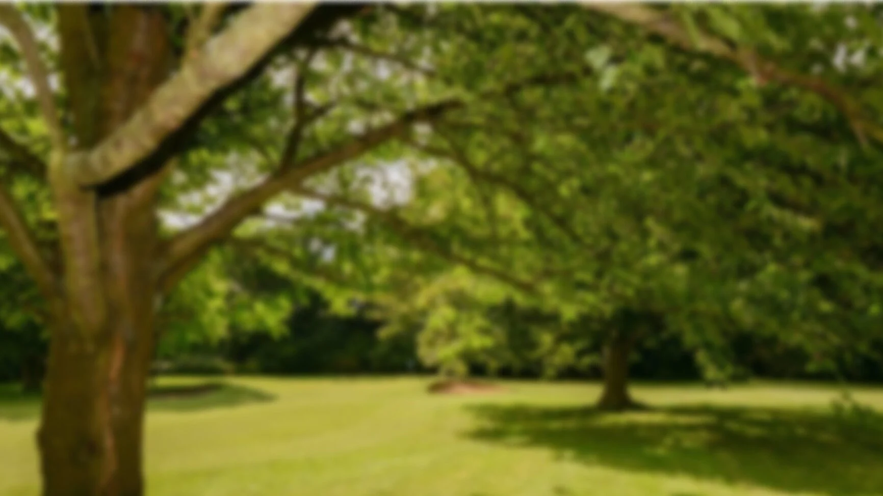 Our Golf Course — Letchworth Par 3