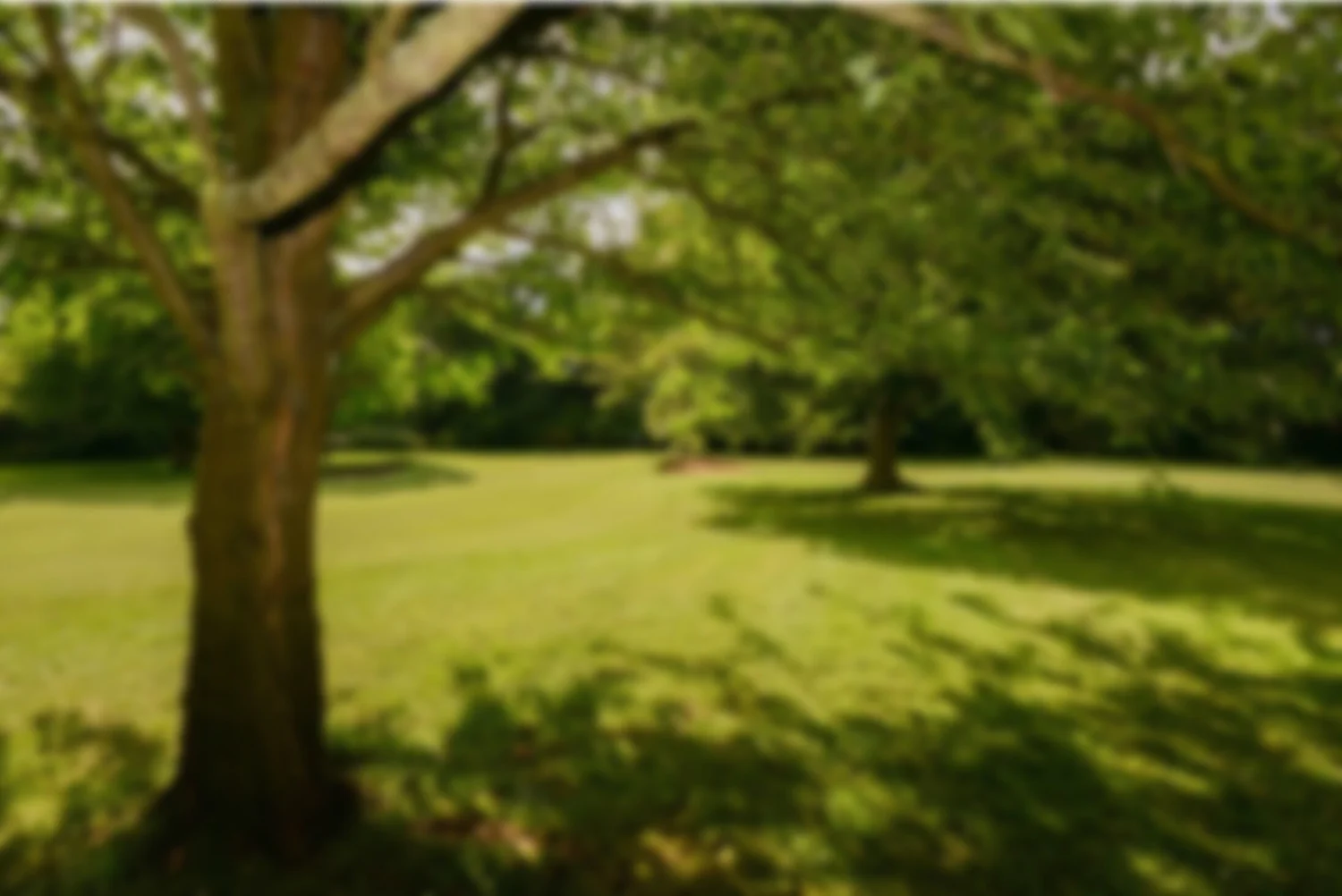 Letchworth Par 3 | Dimples Café