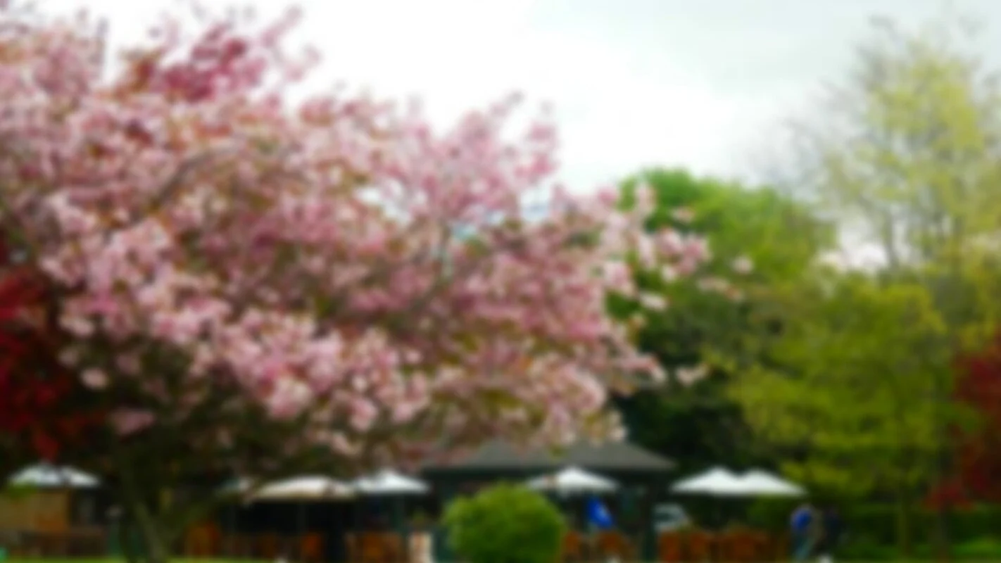 Letchworth Par 3 | Dimples Café