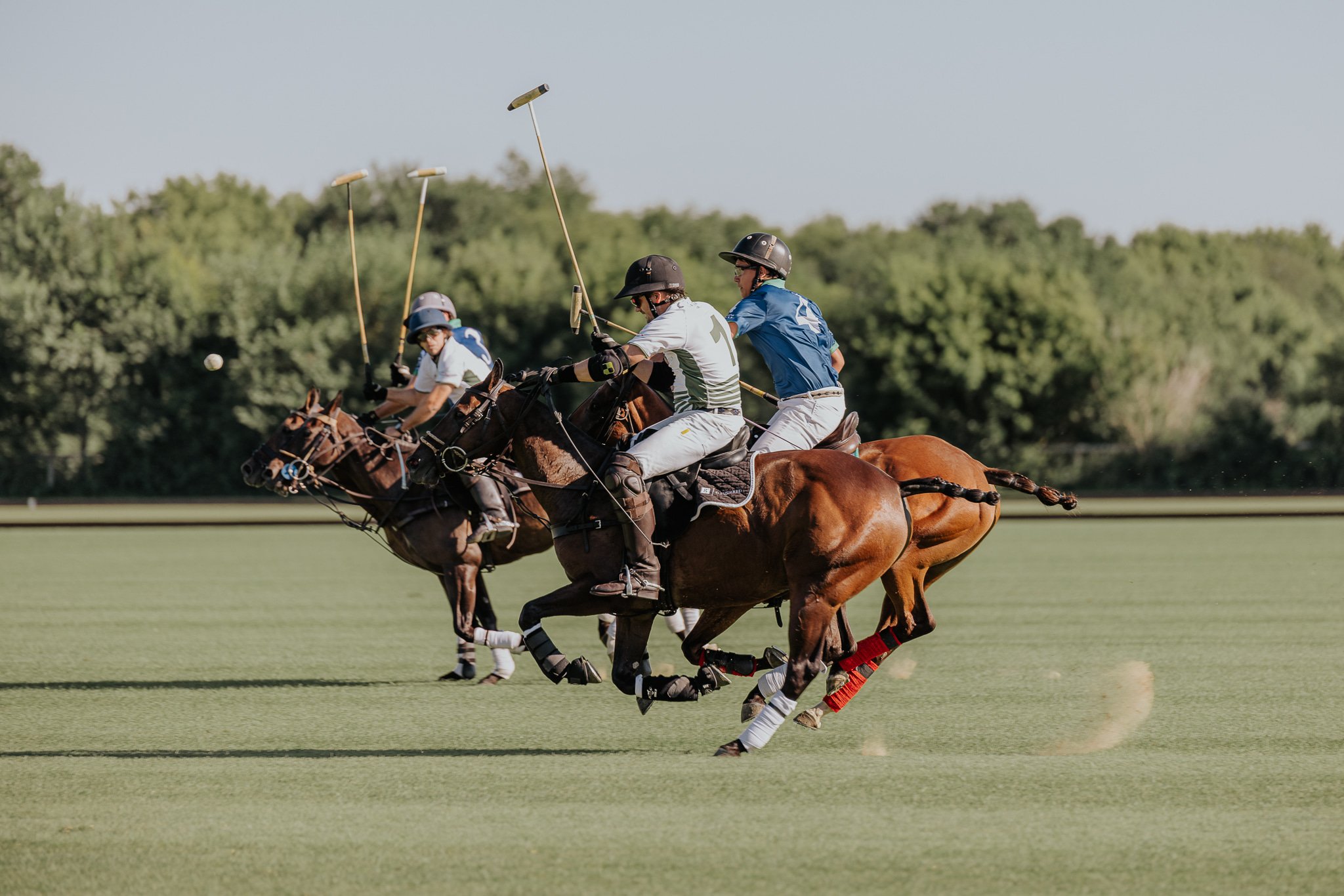 About Us — Las Brisas Farm & Polo Club