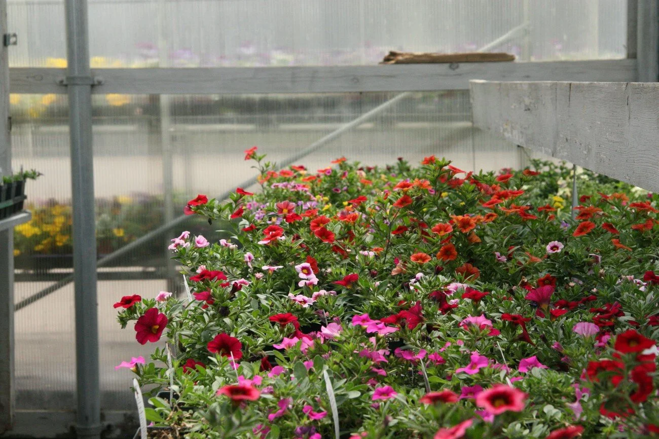 Farmington Greenhouse MN