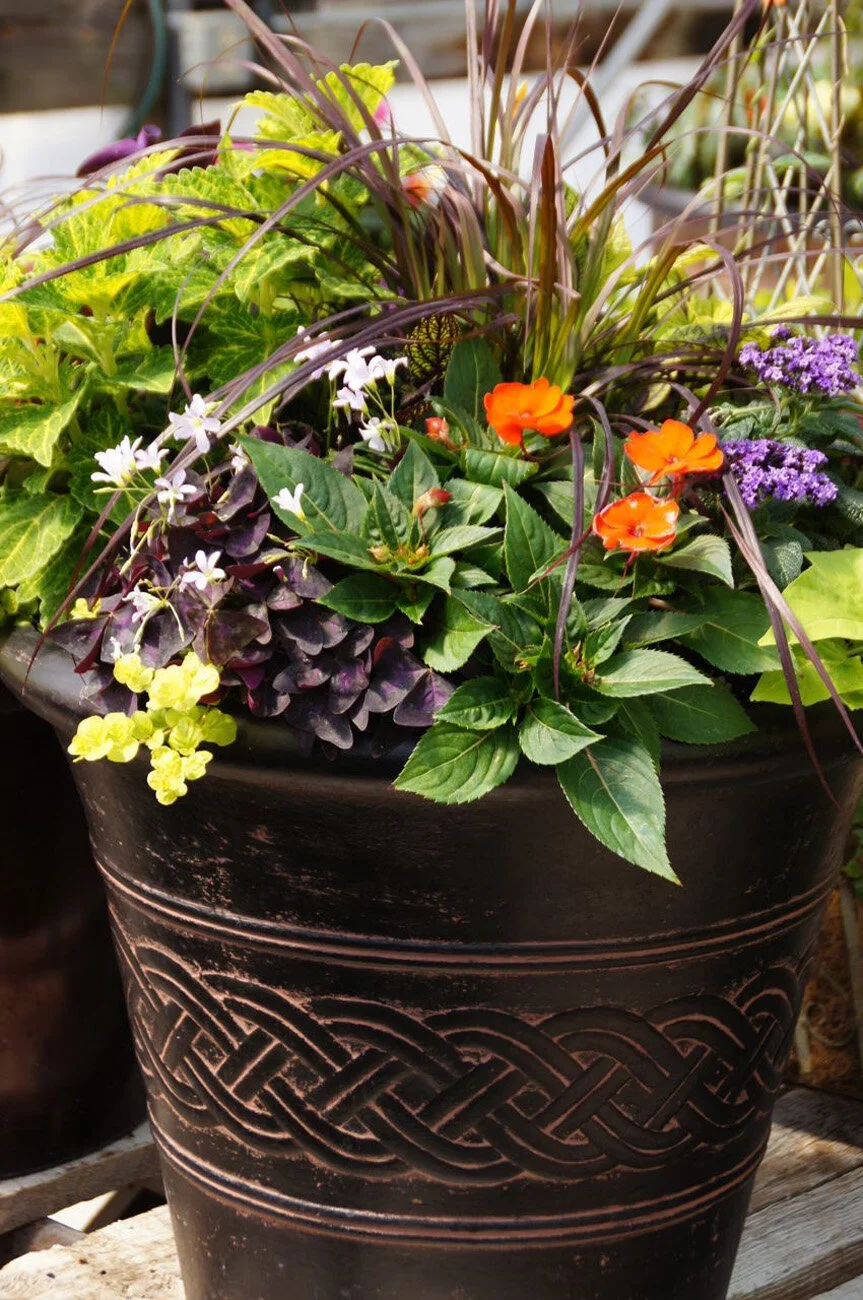 Custom Planter Designs — Farmington Greenhouse MN