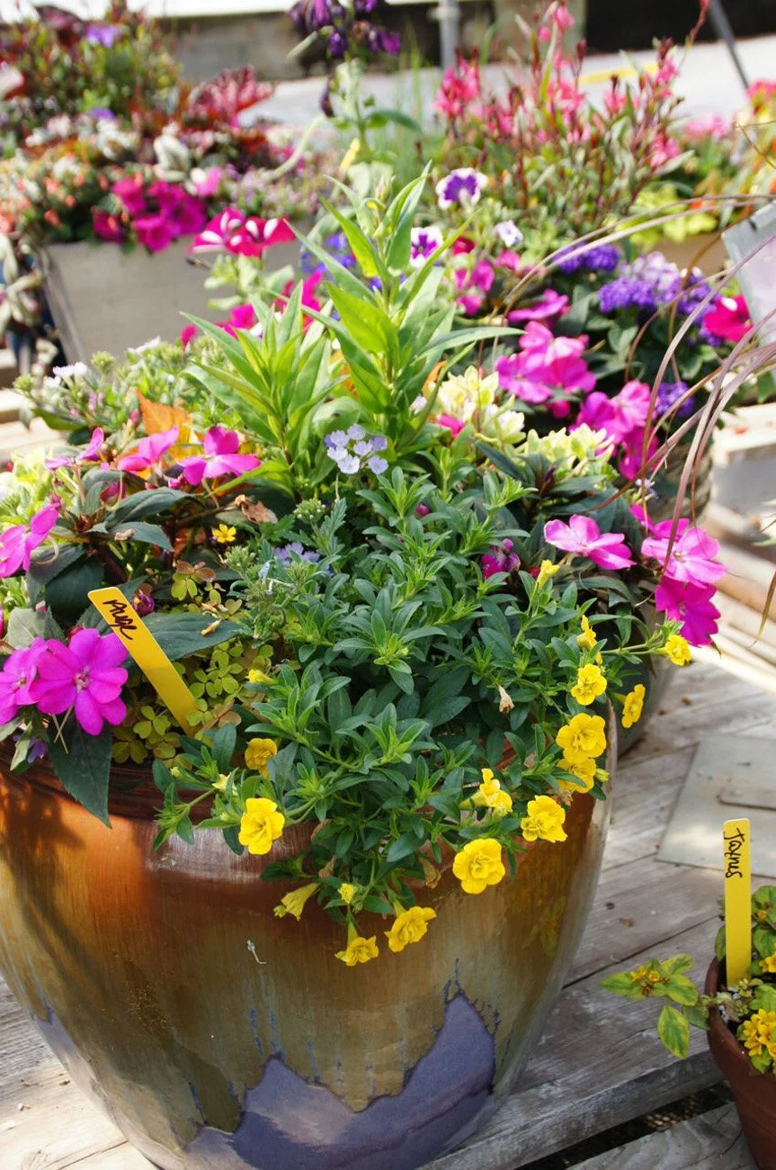Custom Planter Designs — Farmington Greenhouse MN