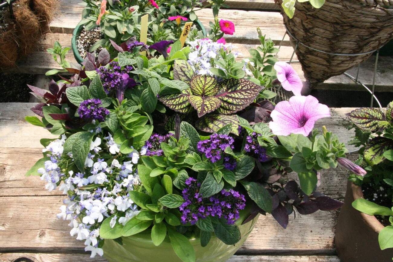 Custom Planter Designs — Farmington Greenhouse MN