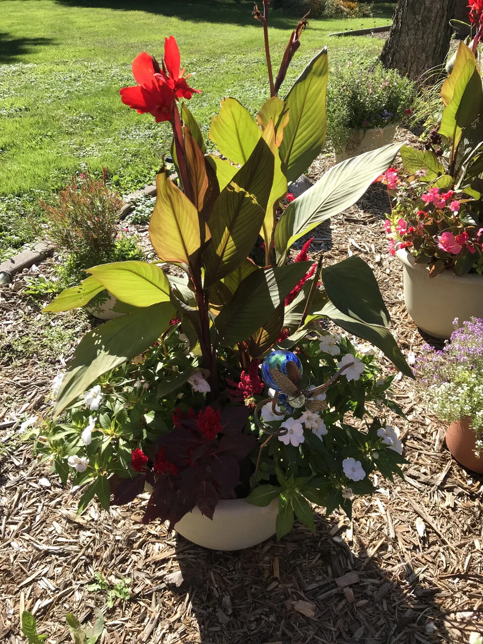 Custom Planter Designs — Farmington Greenhouse MN