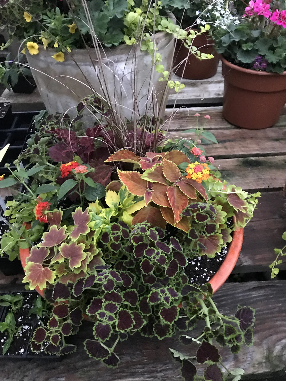 Custom Planter Designs — Farmington Greenhouse MN