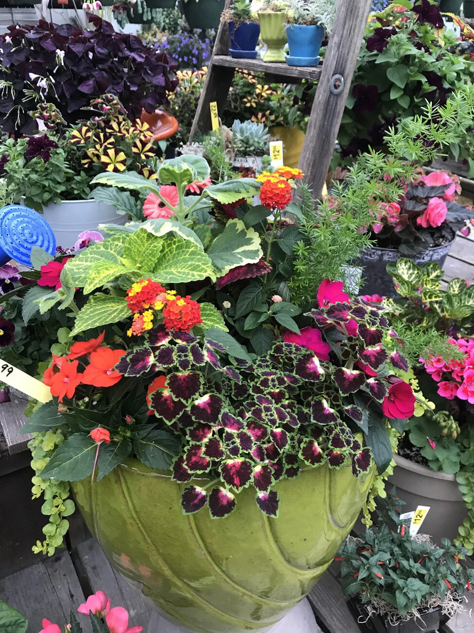 Custom Planter Designs — Farmington Greenhouse MN