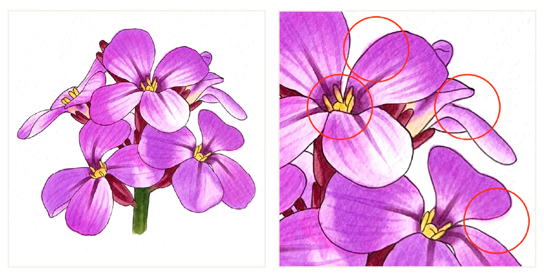 OLO — Global Creative, Inc.