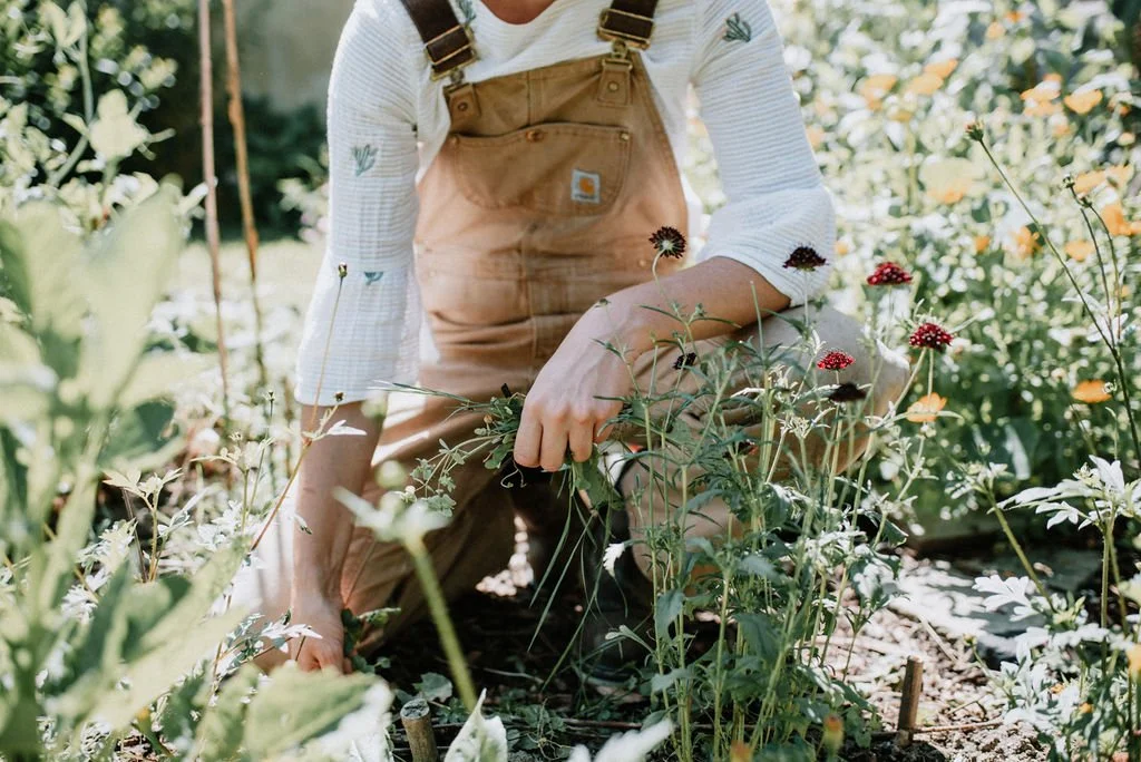 Ellie Gill