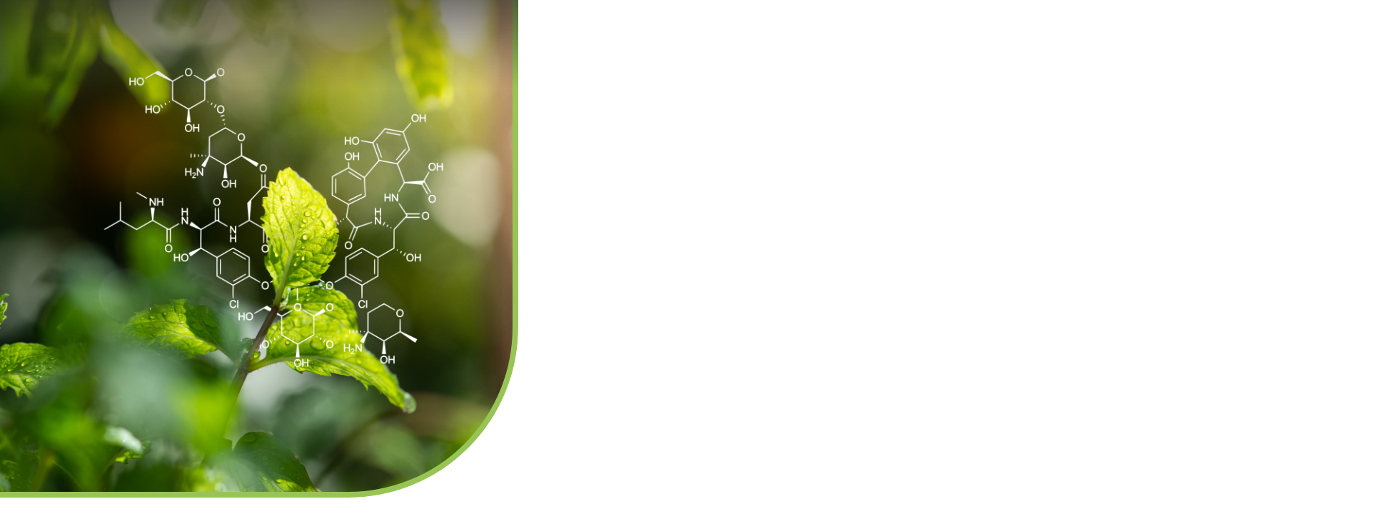 About Us — Integrity Bio-Chemicals, LLC