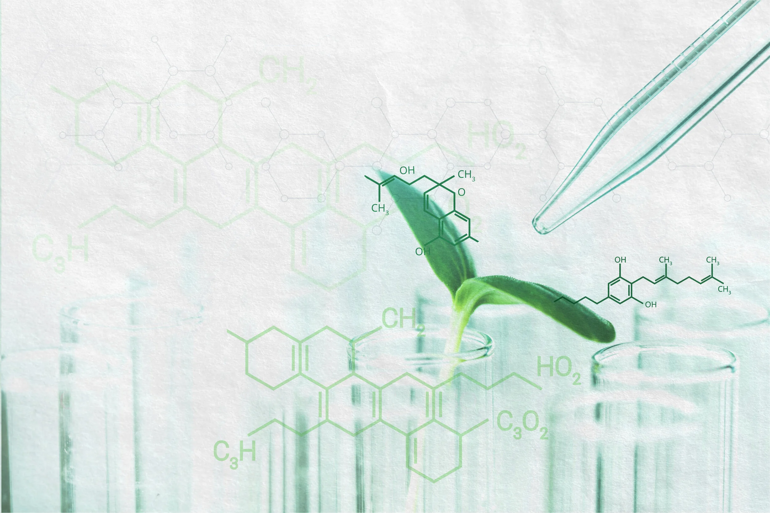 Integrity Bio-Chemicals, LLC