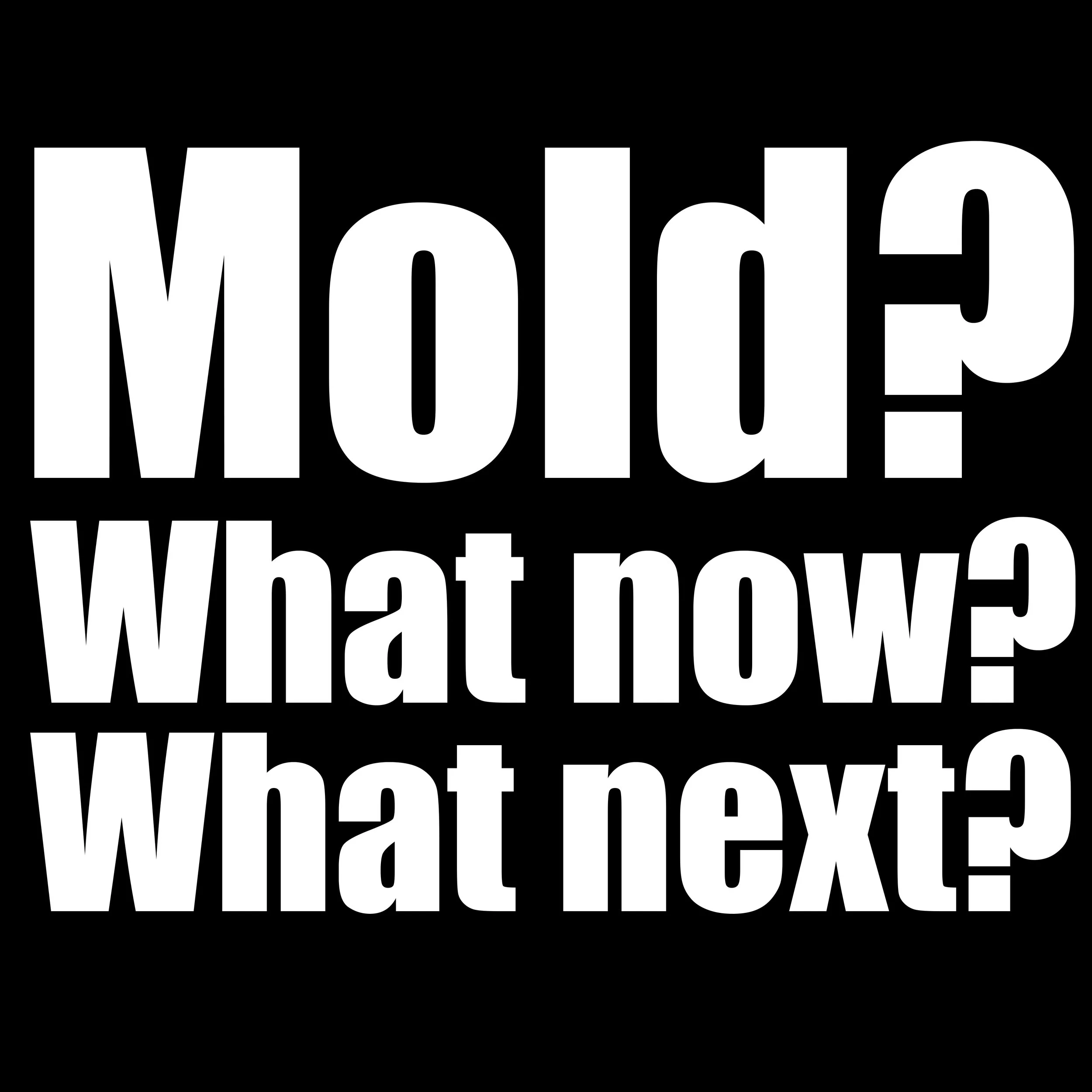 Advanced Environmental - Mold? What Now? What Next?