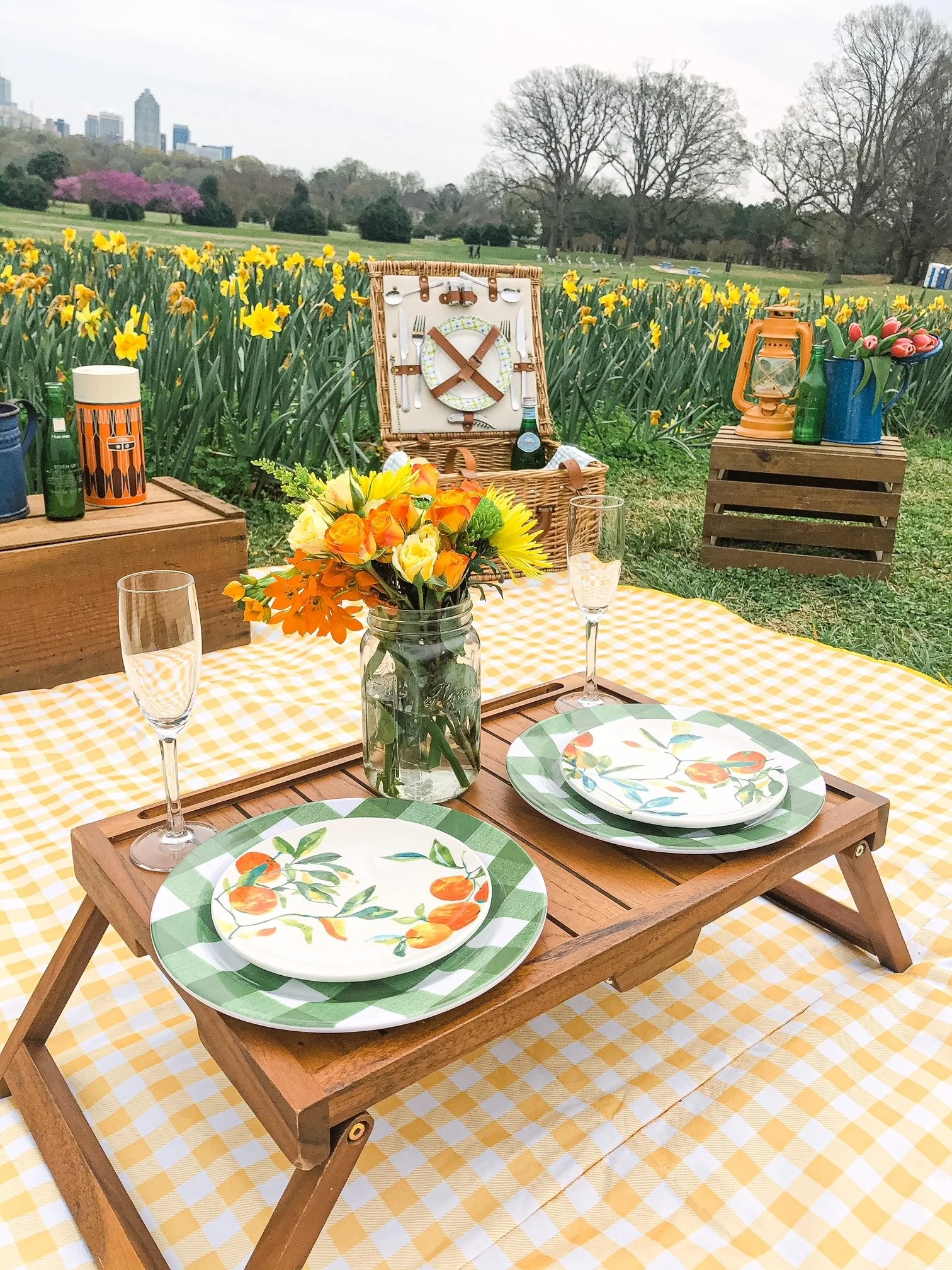 Daffodils in Raleigh | Dix Park Daffodils — SOUTHERN PICNICS