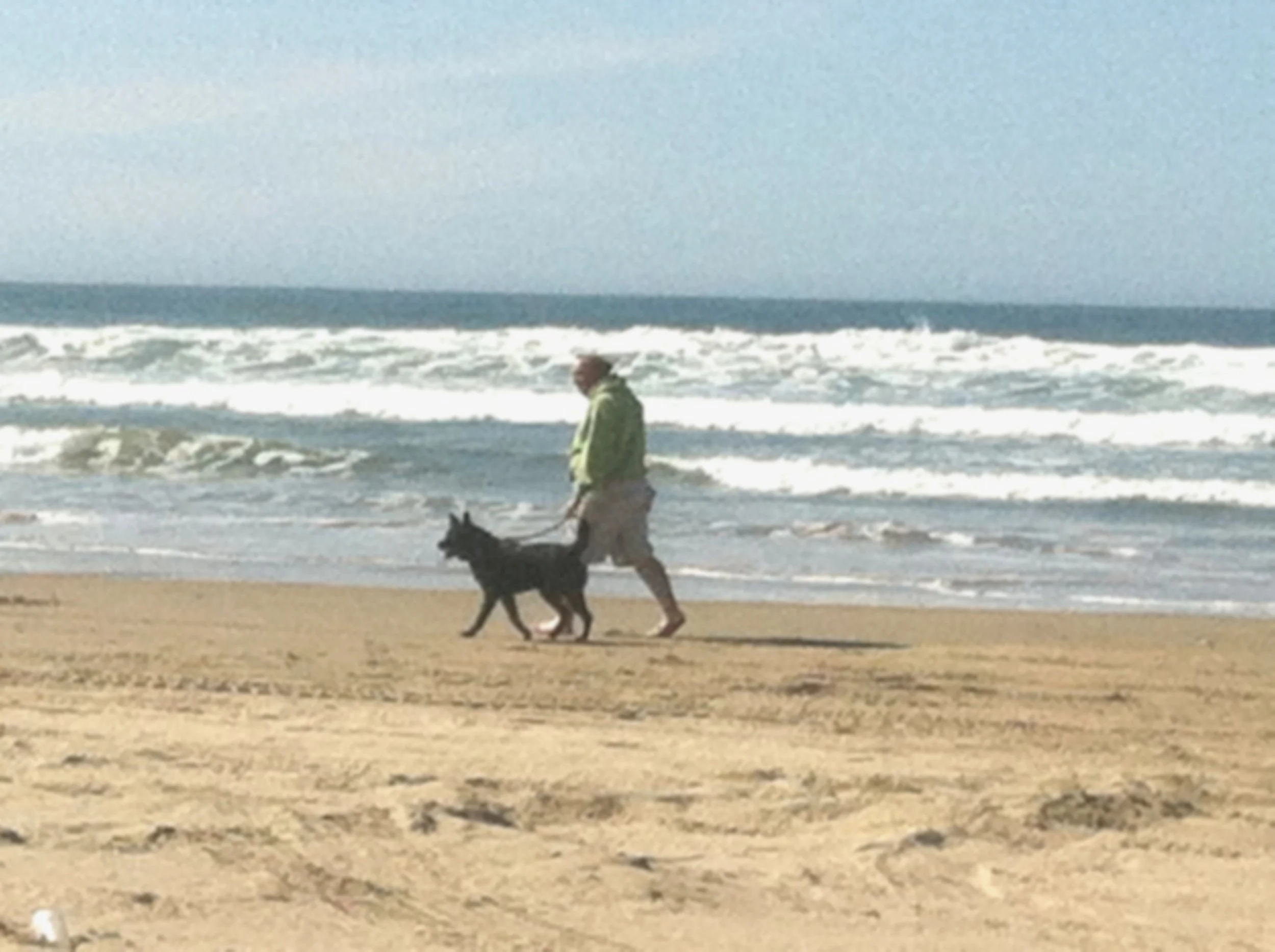 Donations — Santa Barbara County Animal Care Foundation