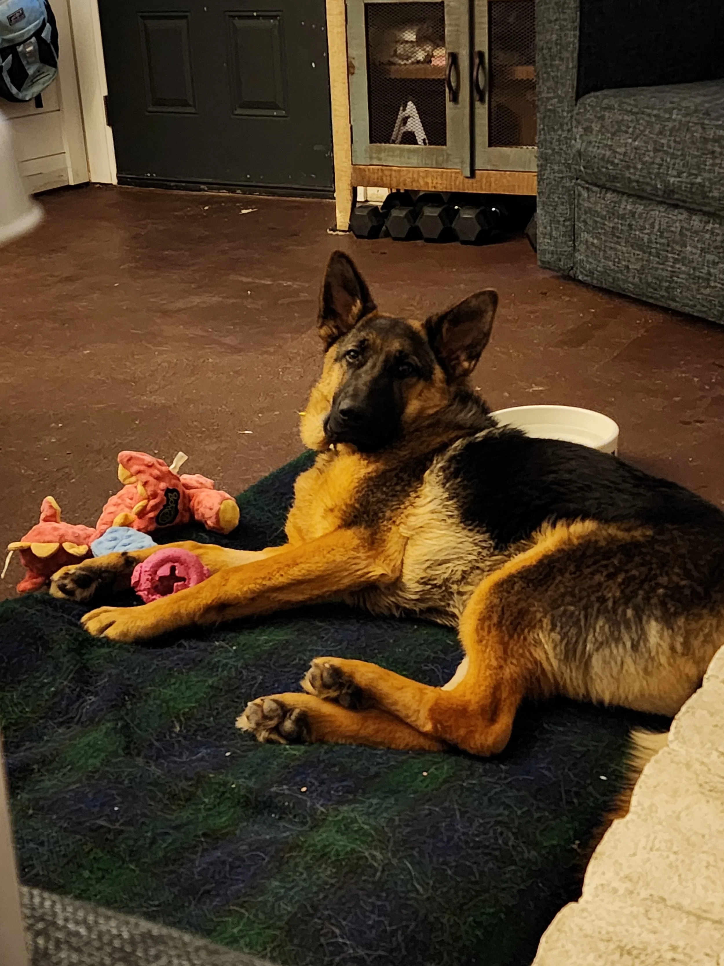 Santa Barbara County Animal Care Foundation