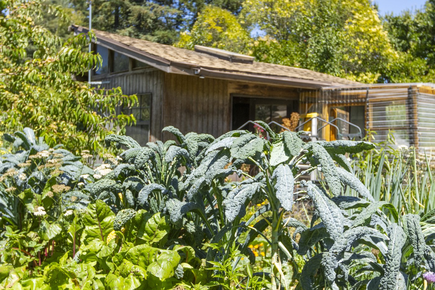 Permaculture Artisans