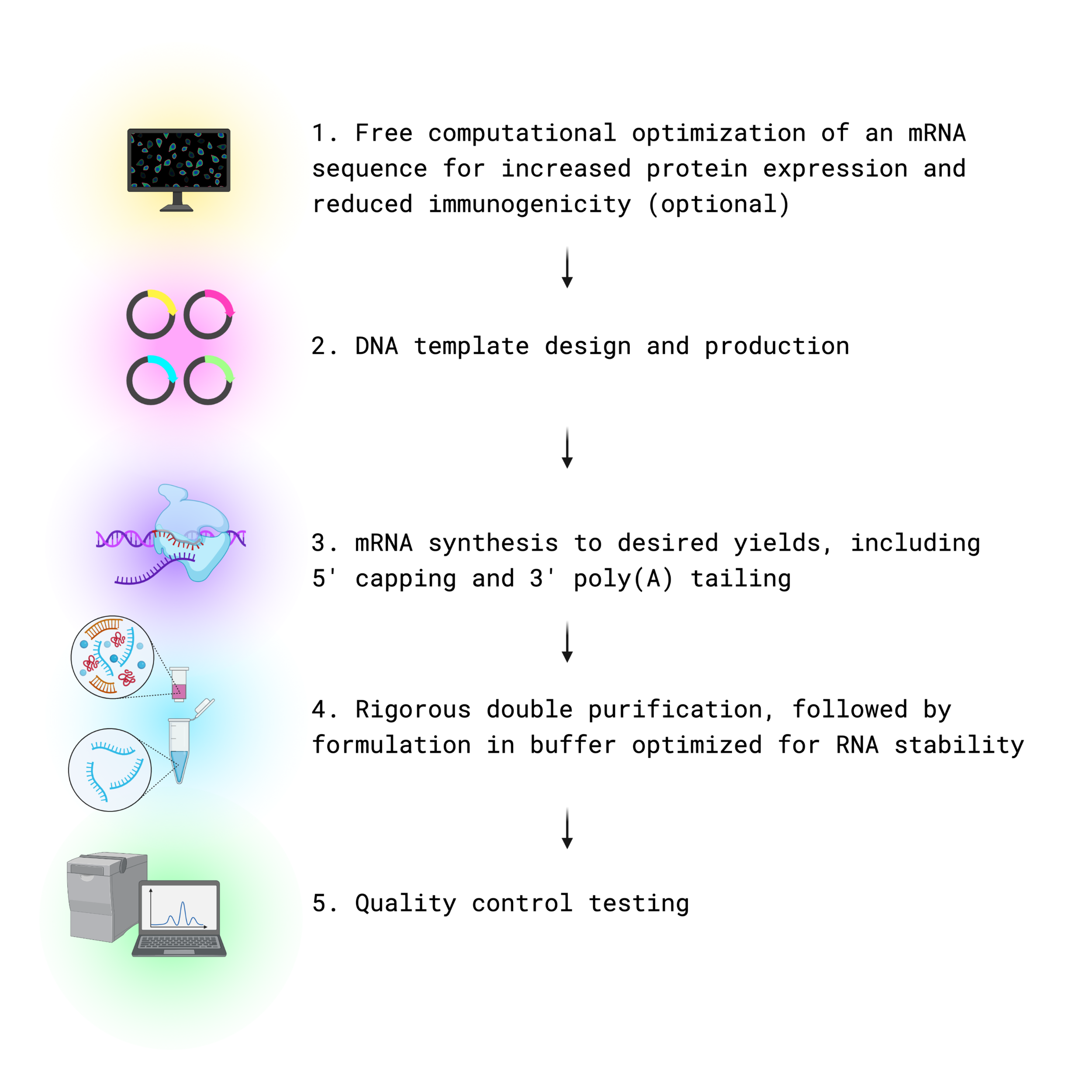 Custom mRNA synthesis Australia — Messenger Bio