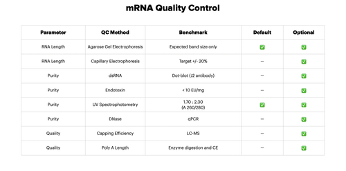 Cy5-UTP labelled mRNA — Messenger Bio