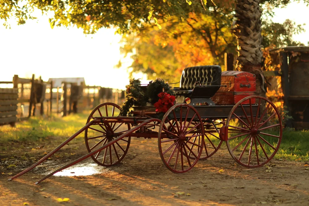 Christmas On The Ranch — West 12 Ranch