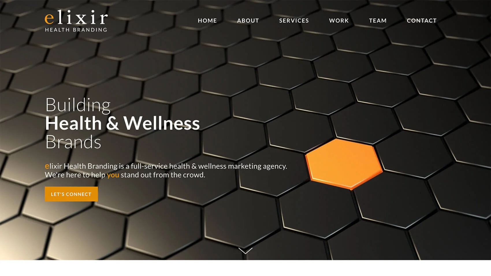 elixir Health Branding | Brittany Hargis | Squarespace Web Designer & SEO