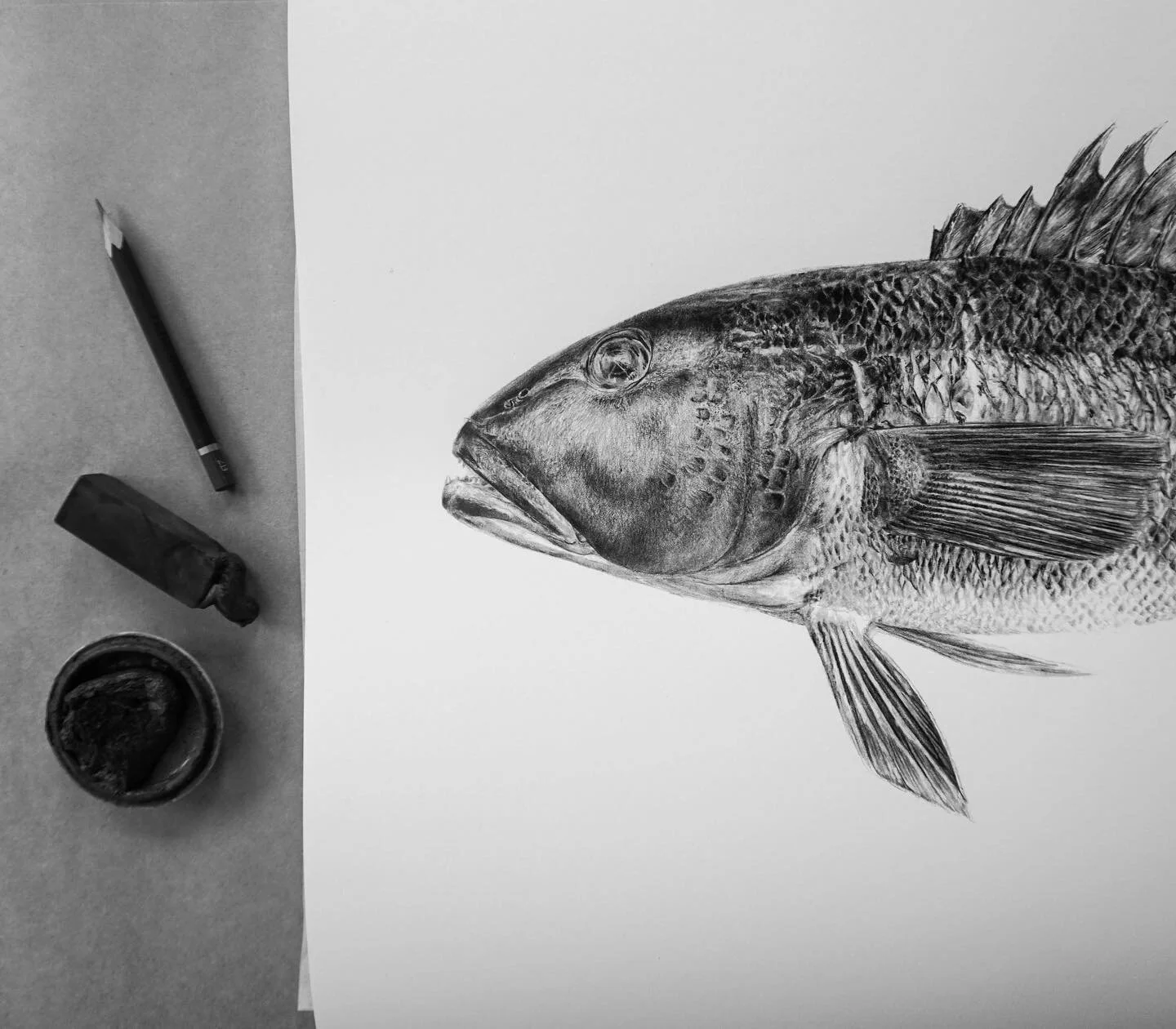 About — Tim Li Art