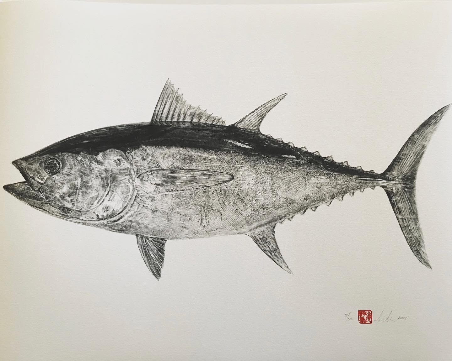 About — Tim Li Art