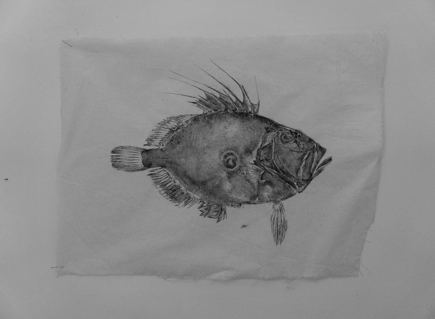 About — Tim Li Art