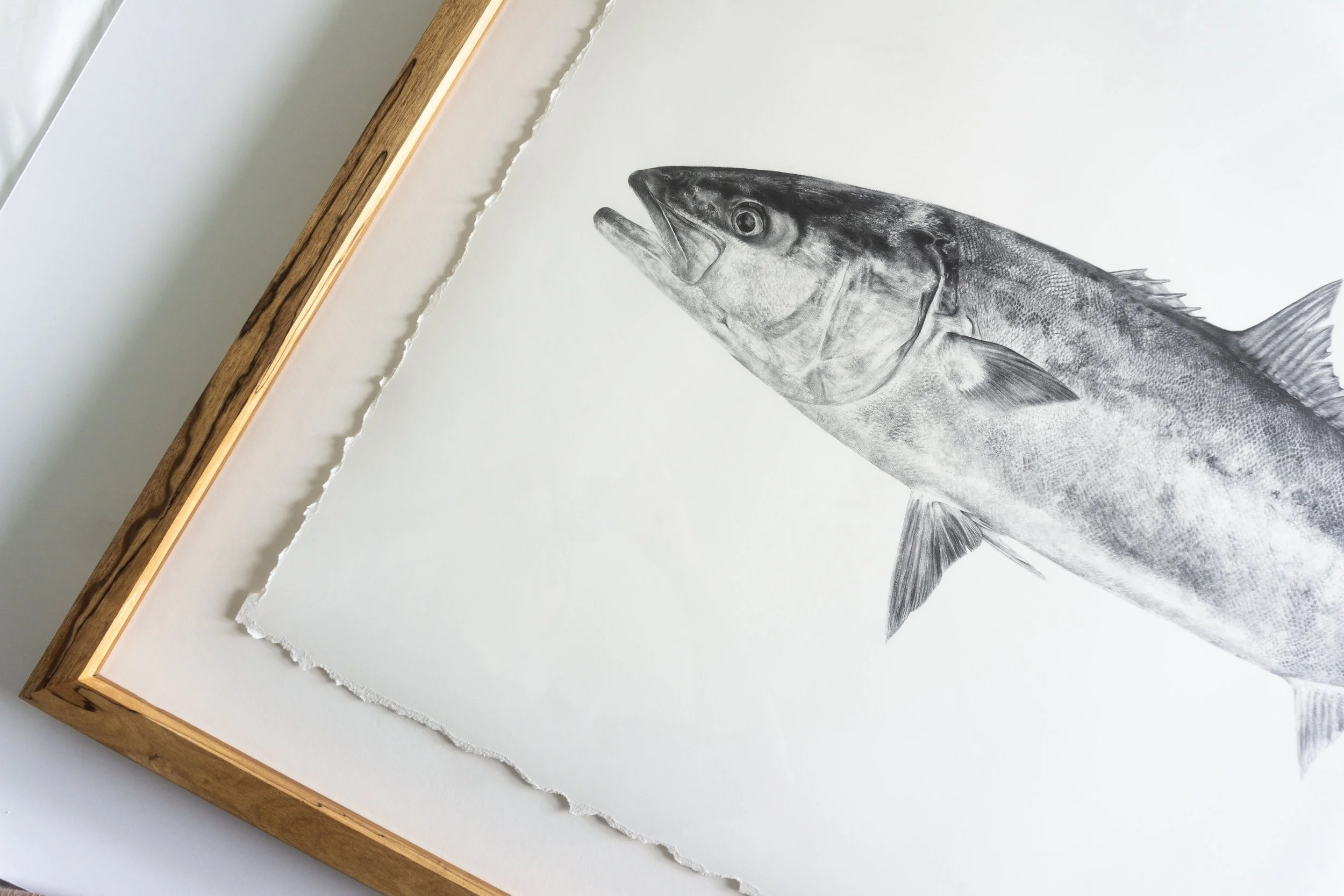 General 6 — Tim Li Art