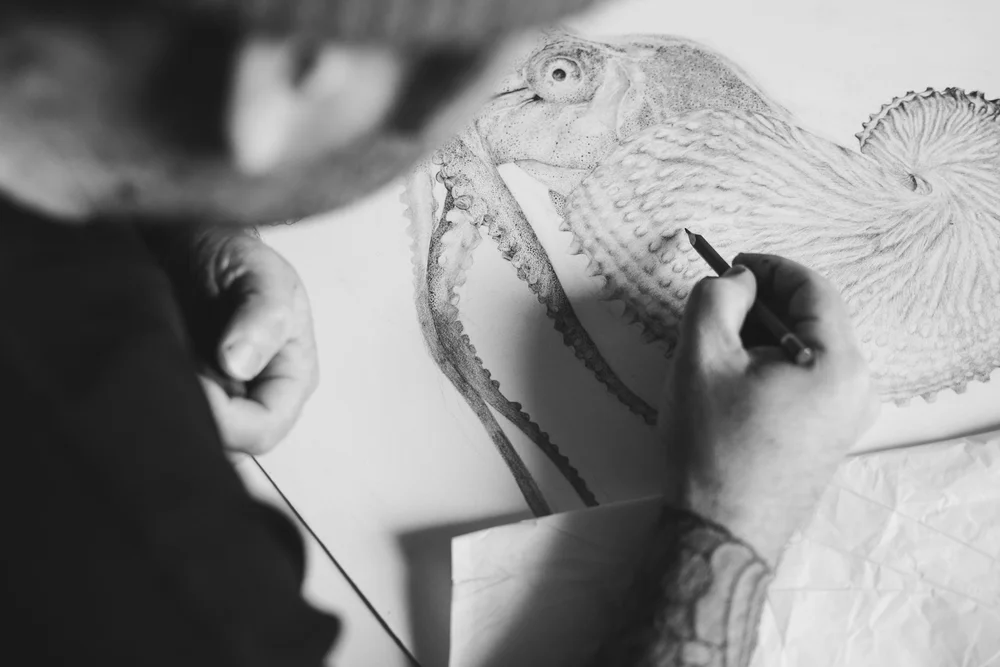 graphite drawings — Tim Li Art