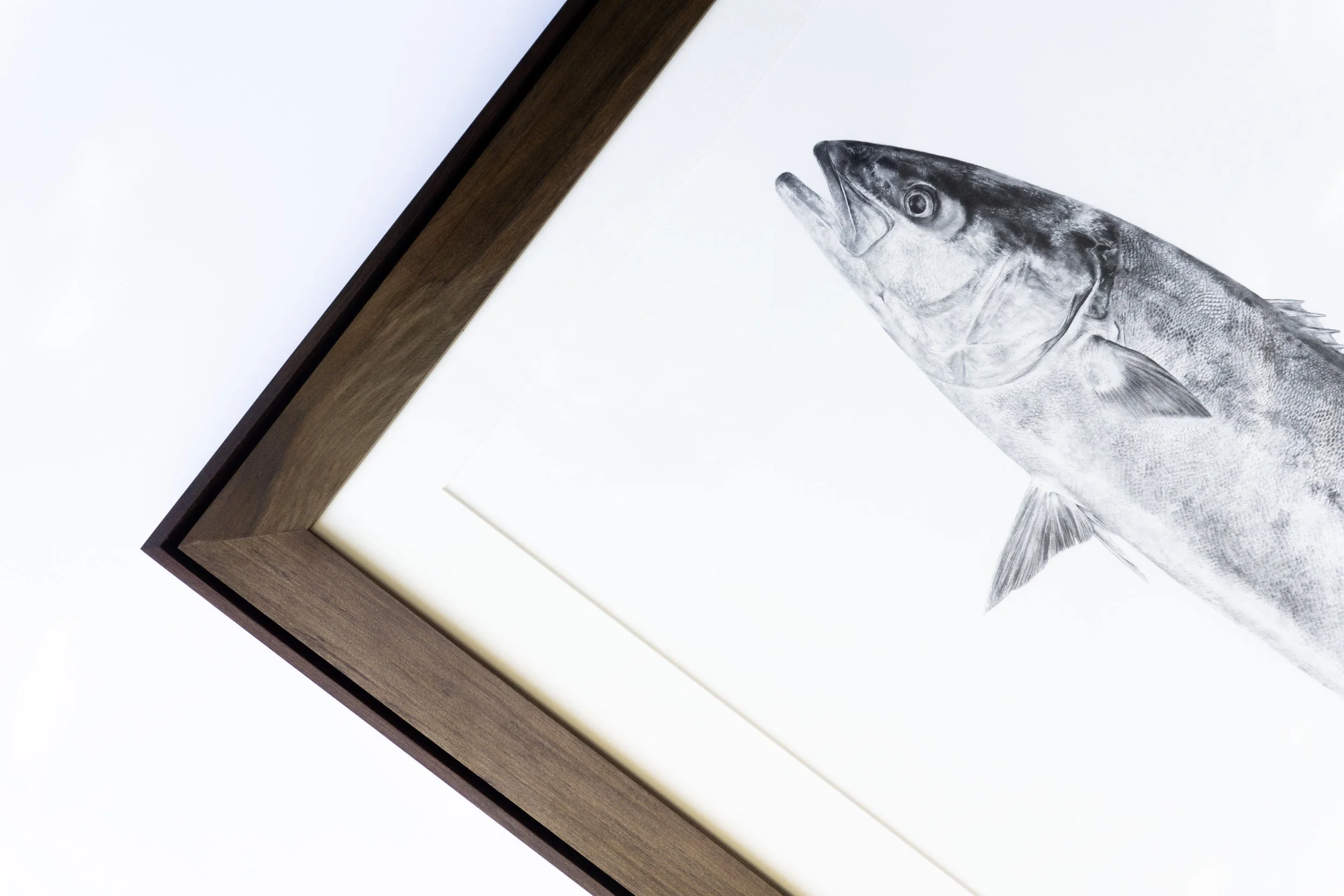 General 6 — Tim Li Art