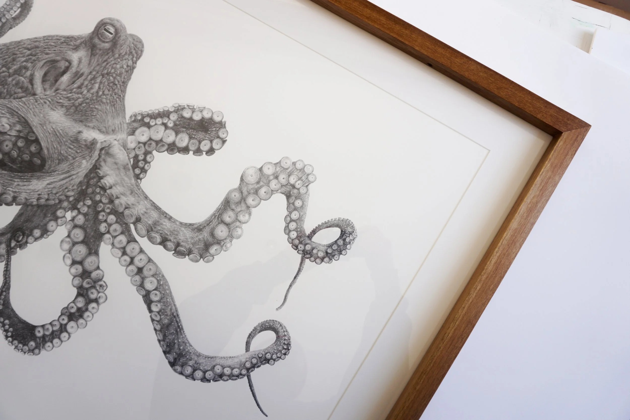 General 6 — Tim Li Art