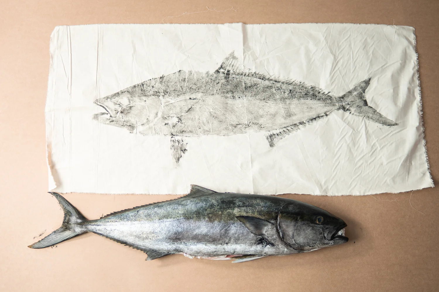 gyotaku — Tim Li Art