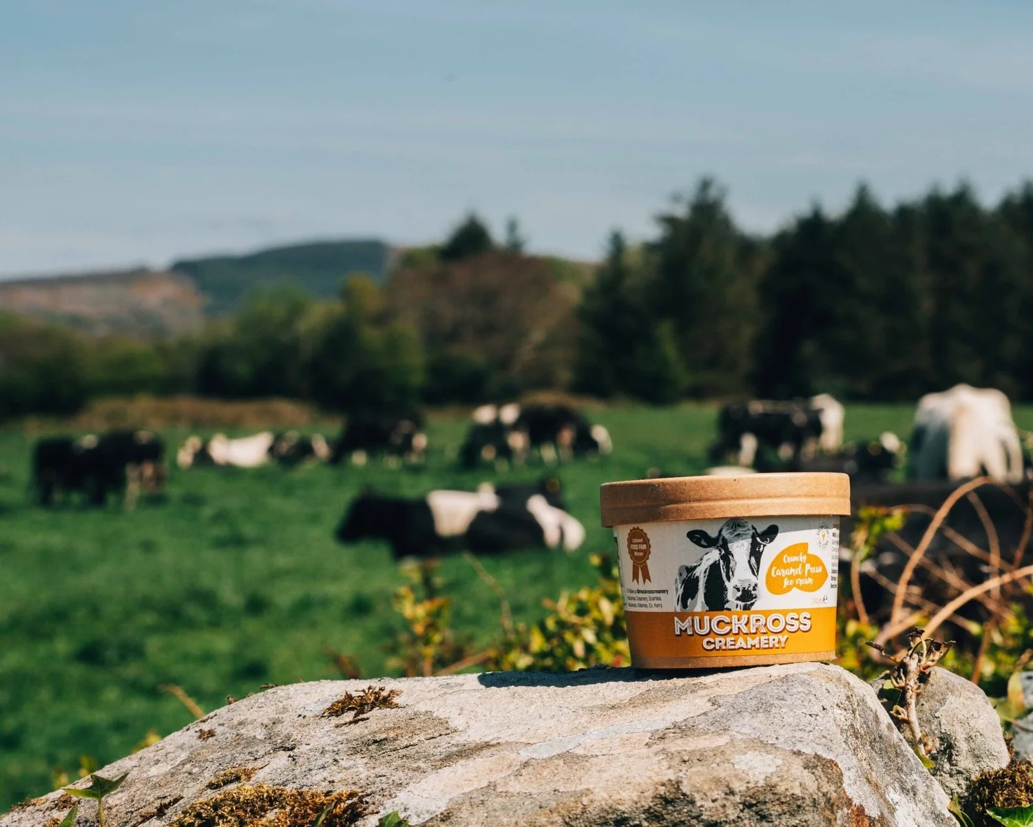 Muckross Creamery