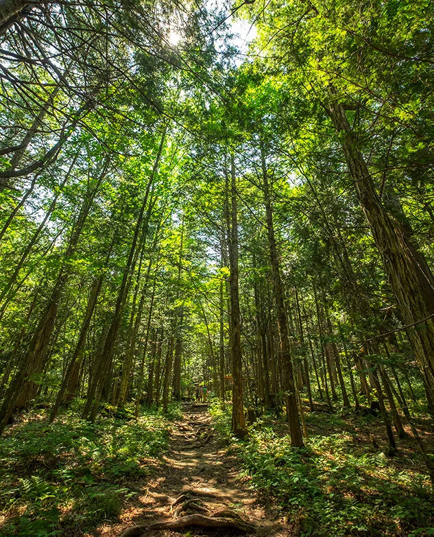Kiso Valley - Nakasendo Trail - Akasawa Natural Recreation Forest ...